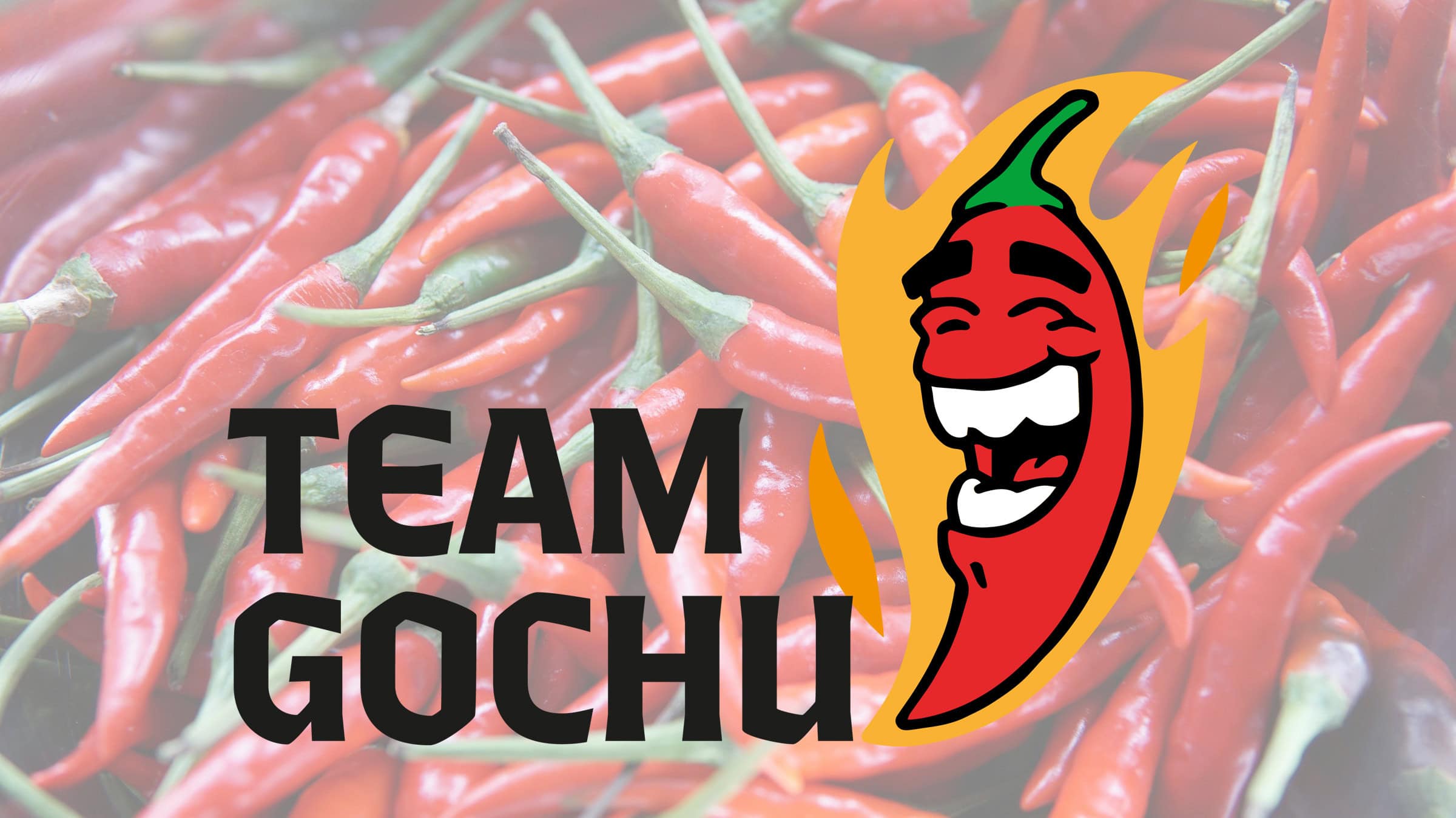 Websites, Marketing & Consulting aus dem Saarland - Team Gochu